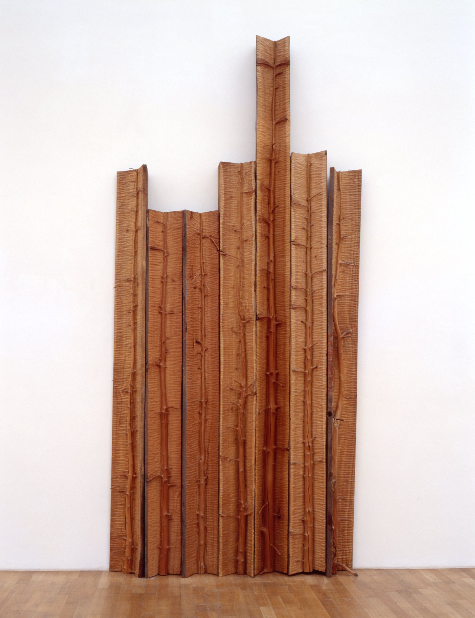 Alberi libro (Book Trees), 1986 (Cod. 0200) | Works | Giuseppe Penone