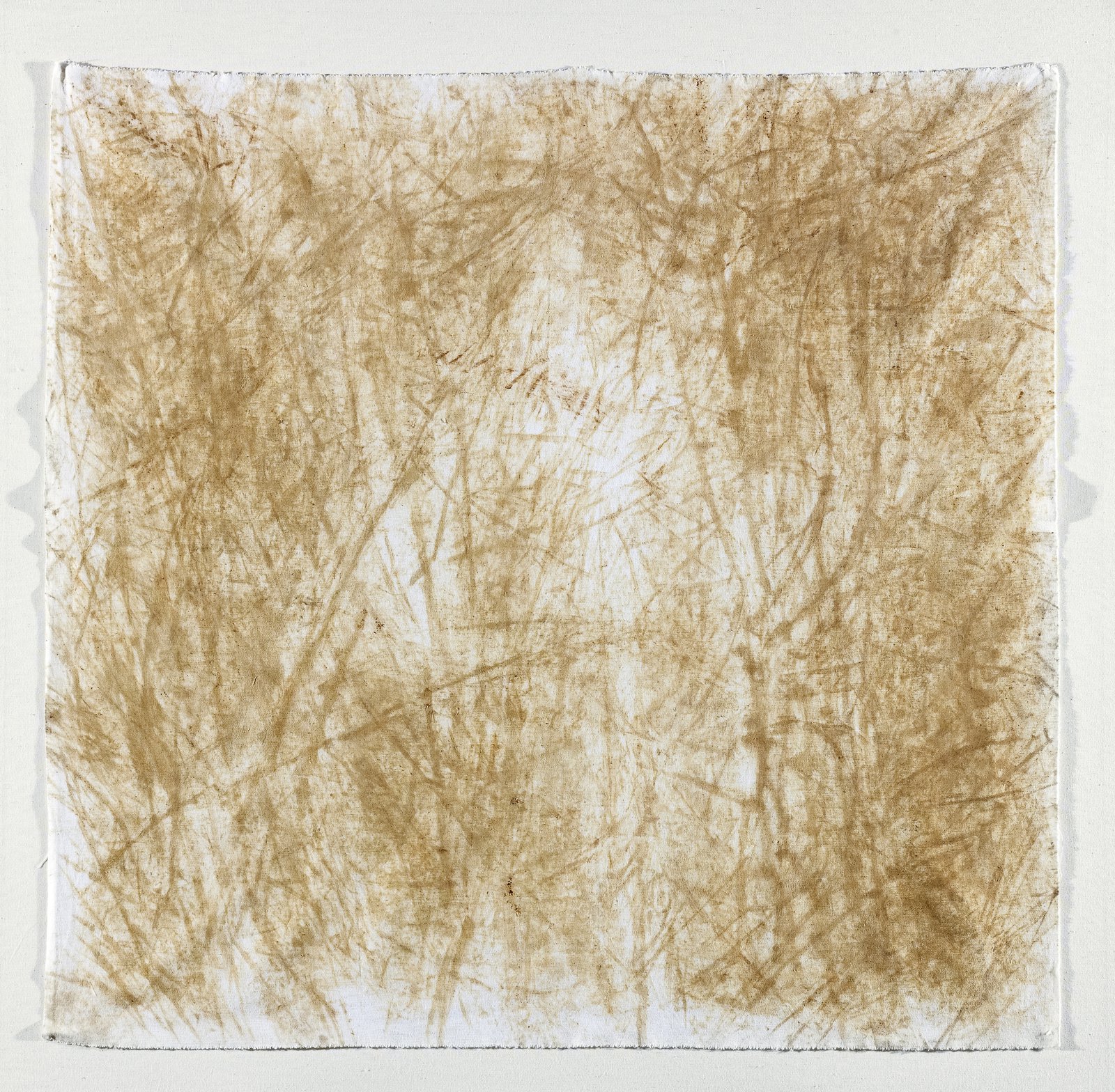 Verde del bosco (Forest Green), 1983 (Cod. 0803) | Works | Giuseppe Penone