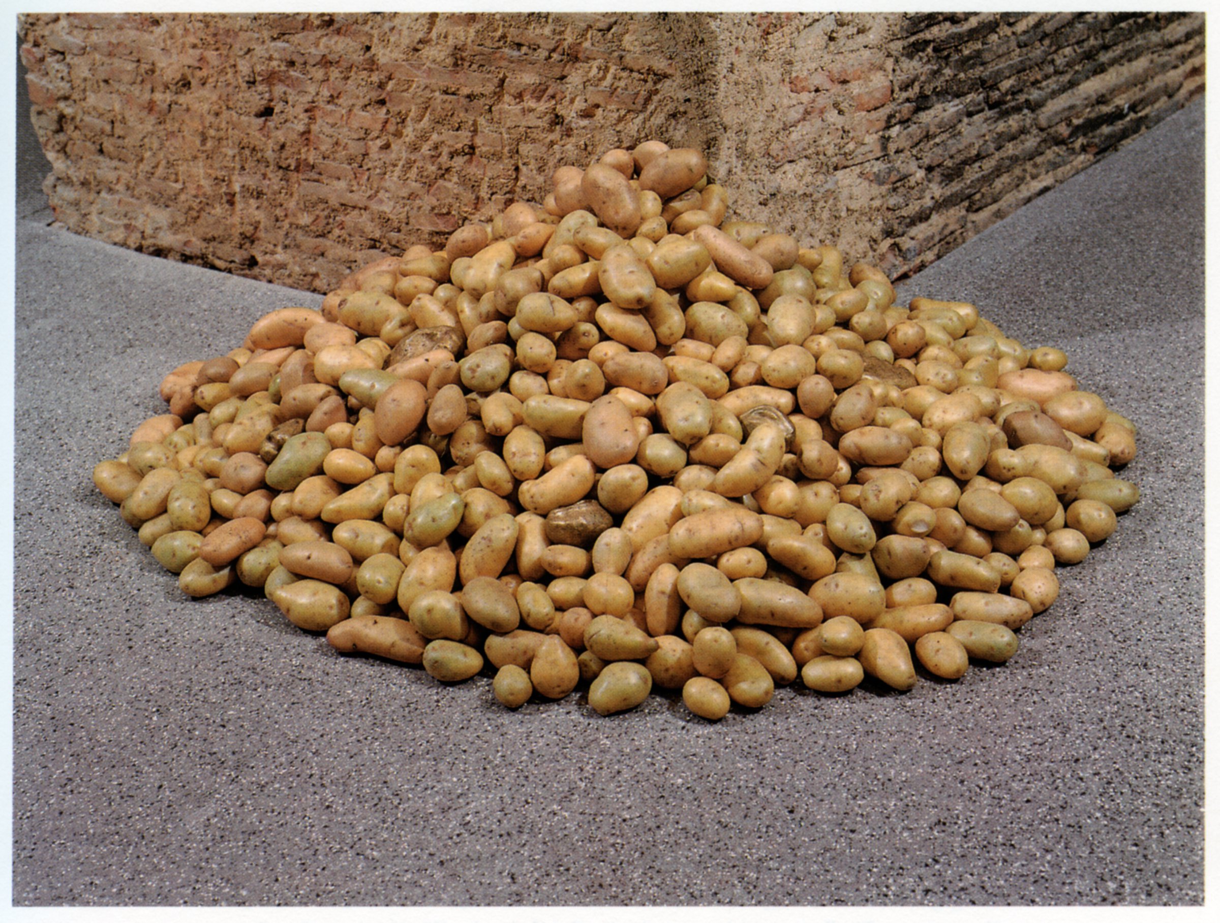 Patate (Potatoes), 1977 (Cod. 2119) | Works | Giuseppe Penone