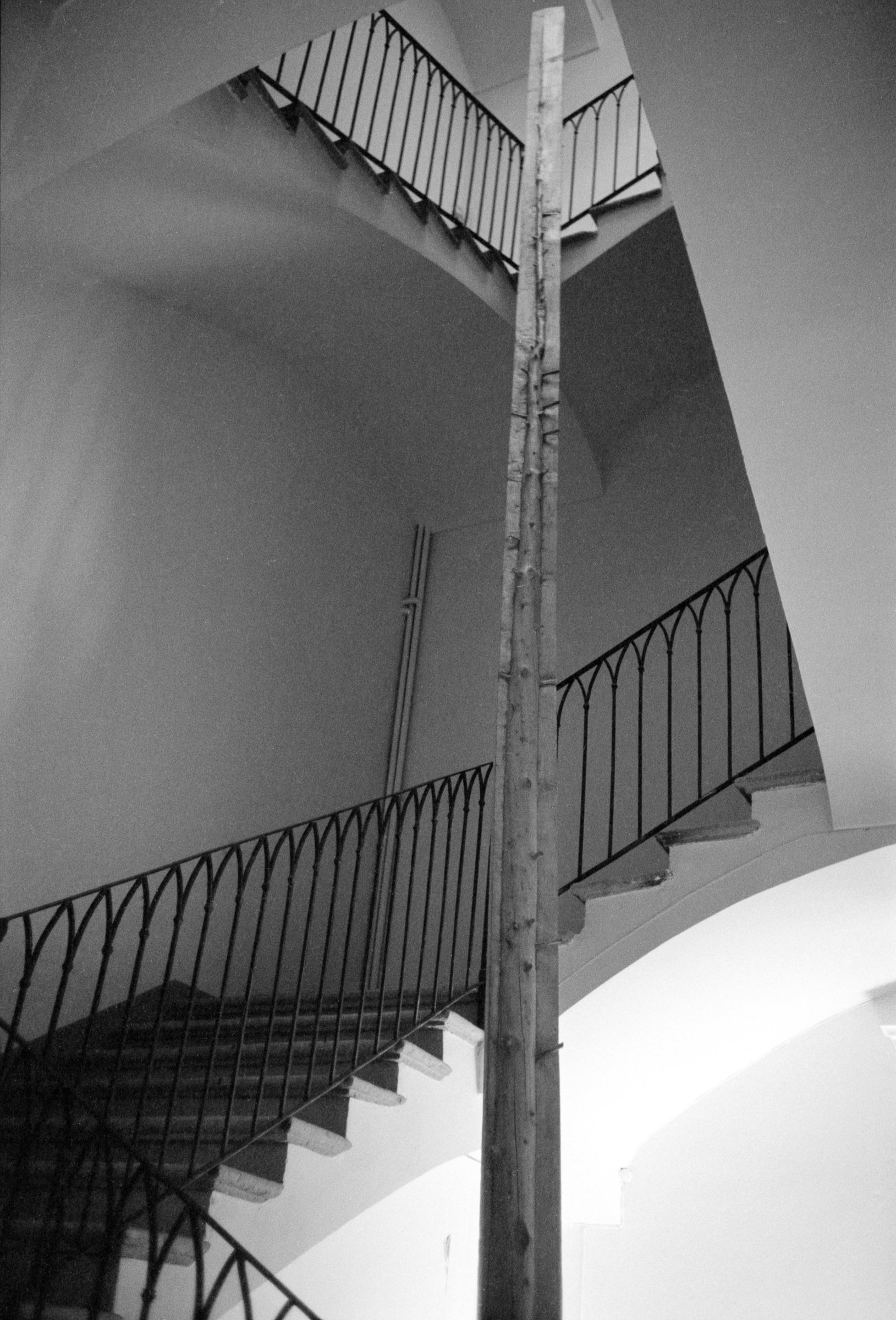 Albero di 8 metri (8-Meter Tree), 1969 (Cod. 1170) | Works | Giuseppe ...