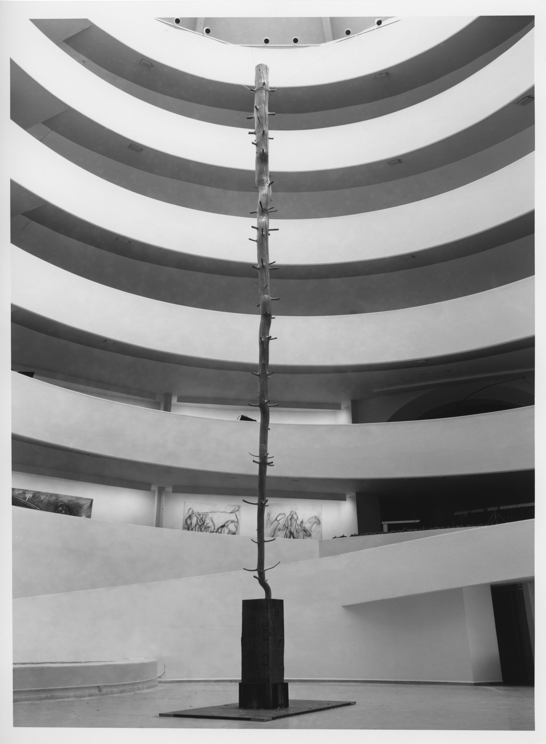 Albero di 12 metri (12-Meter Tree), 1980 (Cod. 0178) | Works | Giuseppe ...