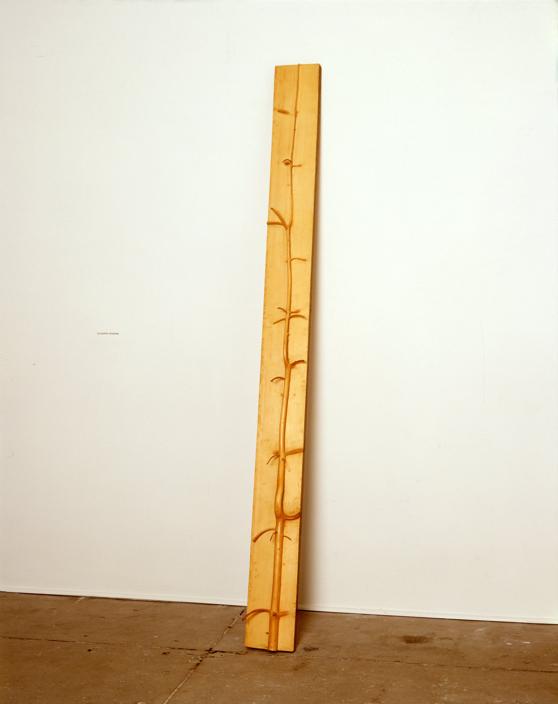 Albero di 2,30 metri (2.30-Meter Tree), 1976 (Cod. 0298) | Works ...