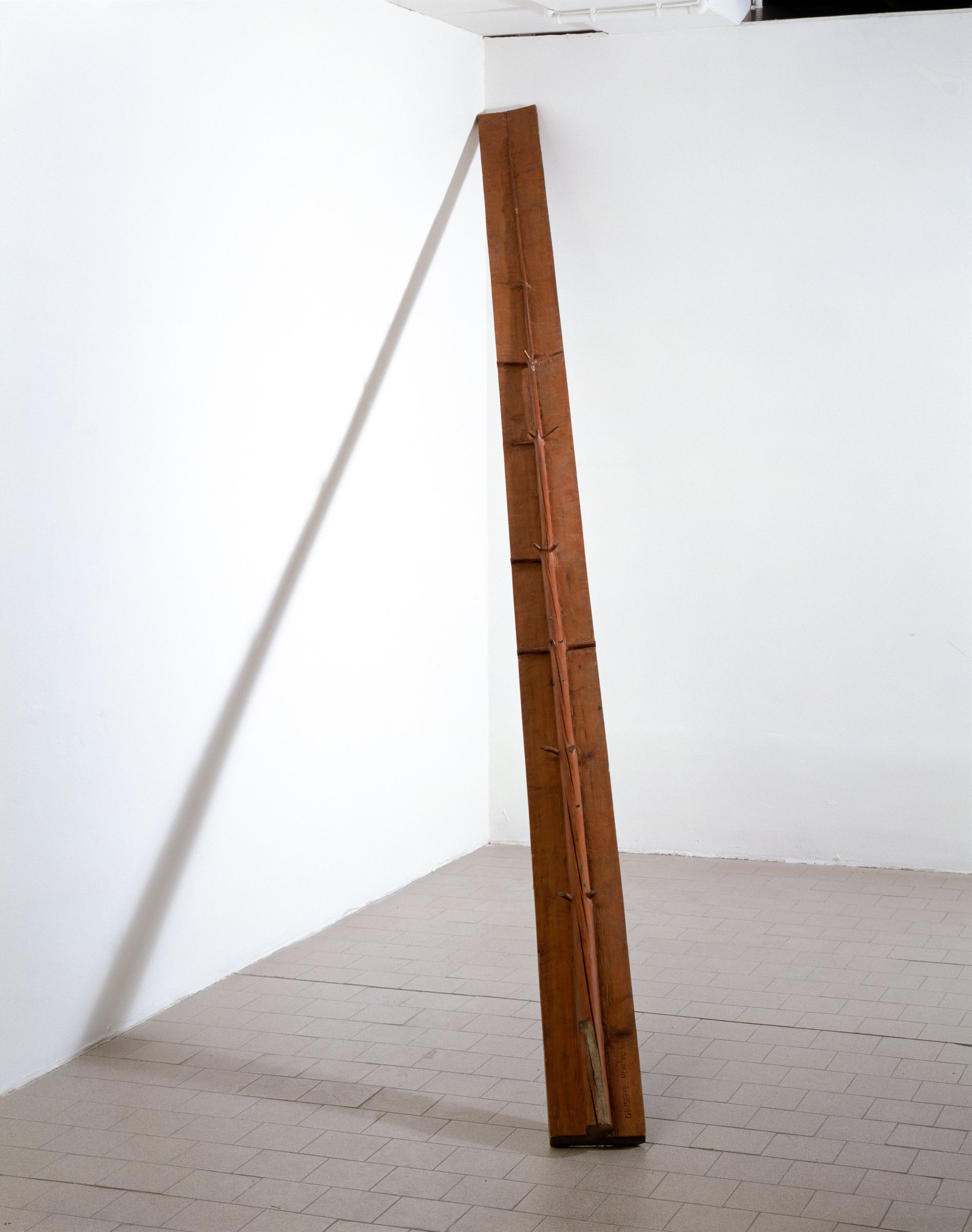 Albero di 3 metri (3-Meter Tree), 1969 (Cod. 1171) | Works | Giuseppe ...