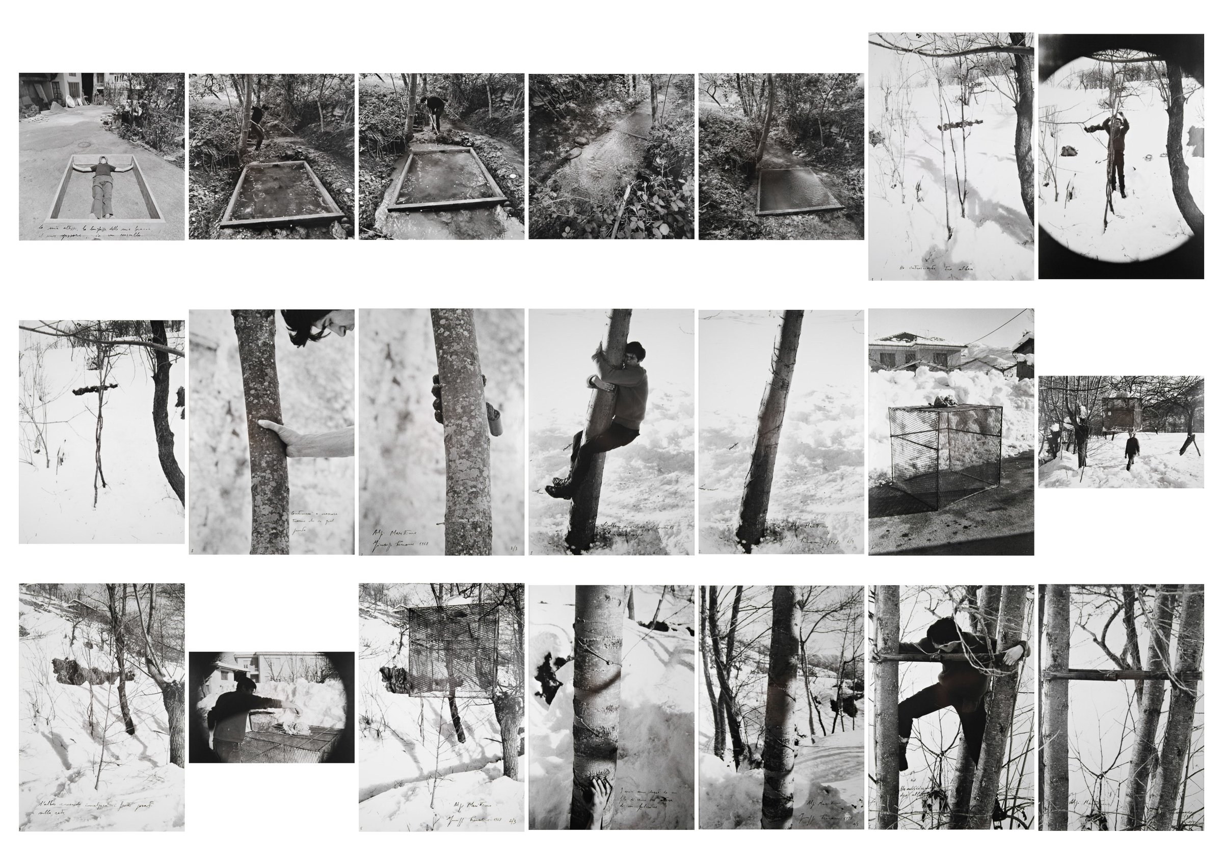 Lavori sugli alberi (Works on Trees), 1968 (Cod. 2182) | Works ...
