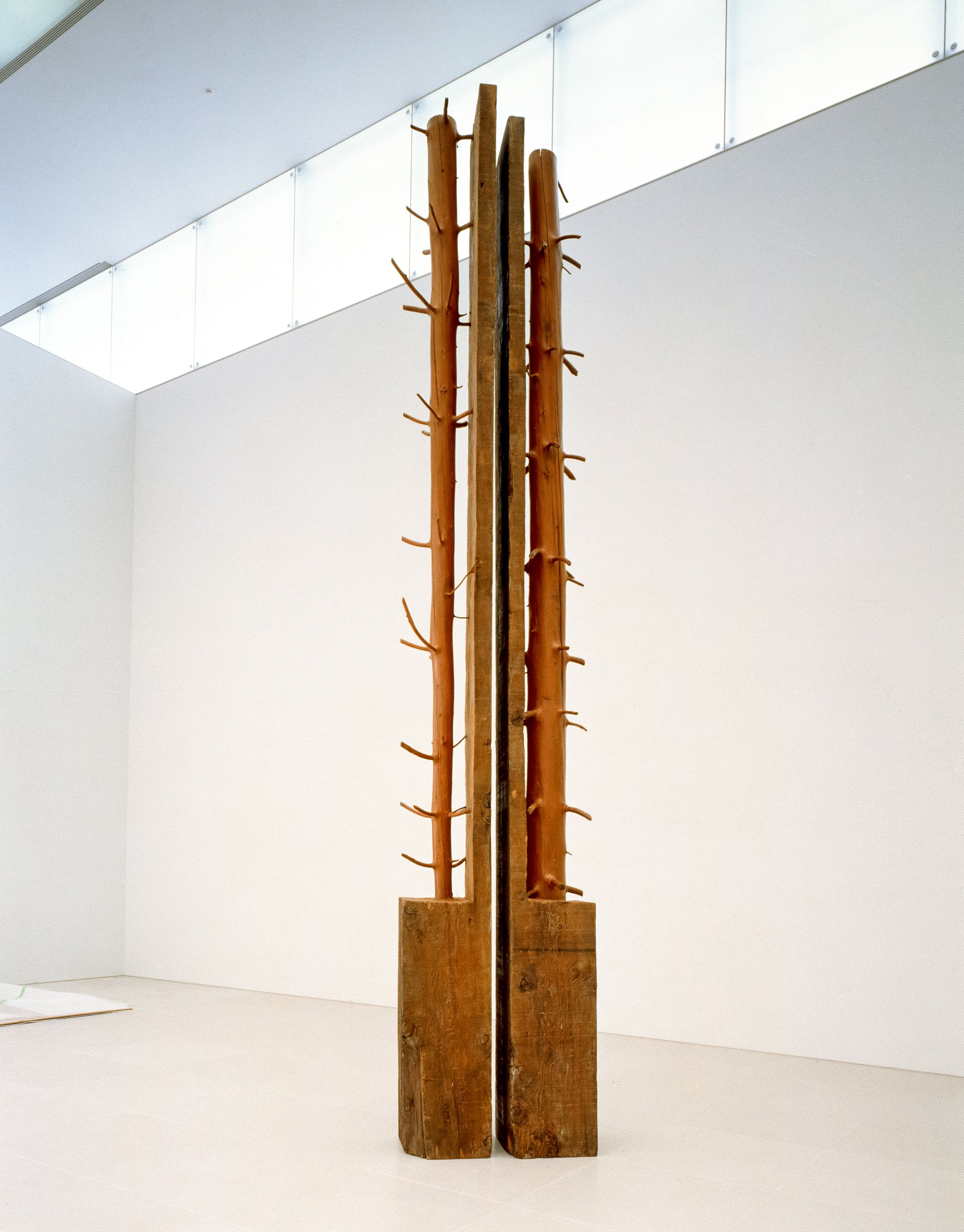 Albero di 12 metri (12-Meter Tree), 1980 (Cod. 0180) | Works | Giuseppe ...