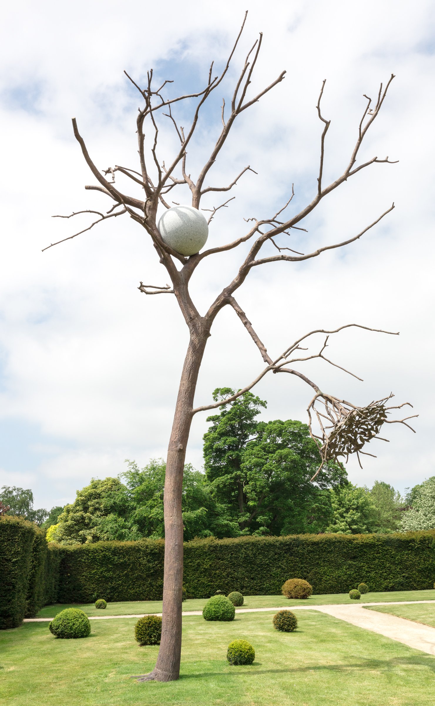 Luce e ombra (Light and Shadow), 2014 (Cod. 2051) | Works | Giuseppe Penone