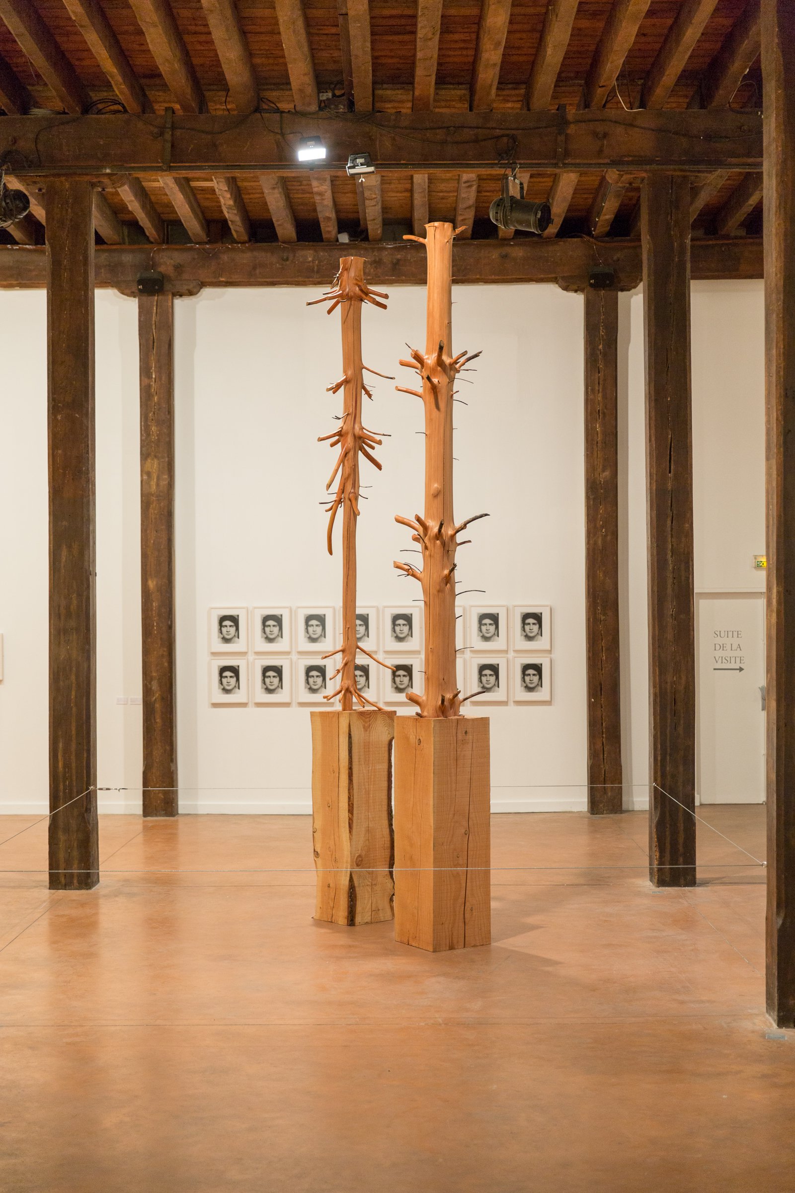 Albero di 8 metri (8-Meter Tree), 2011 (Cod. 0911) | Works | Giuseppe ...