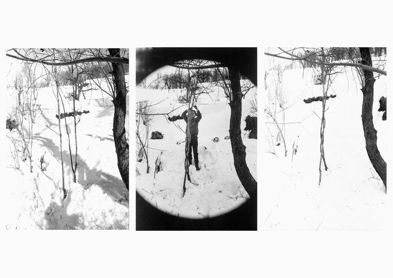 Maritime Alps | Words | Giuseppe Penone