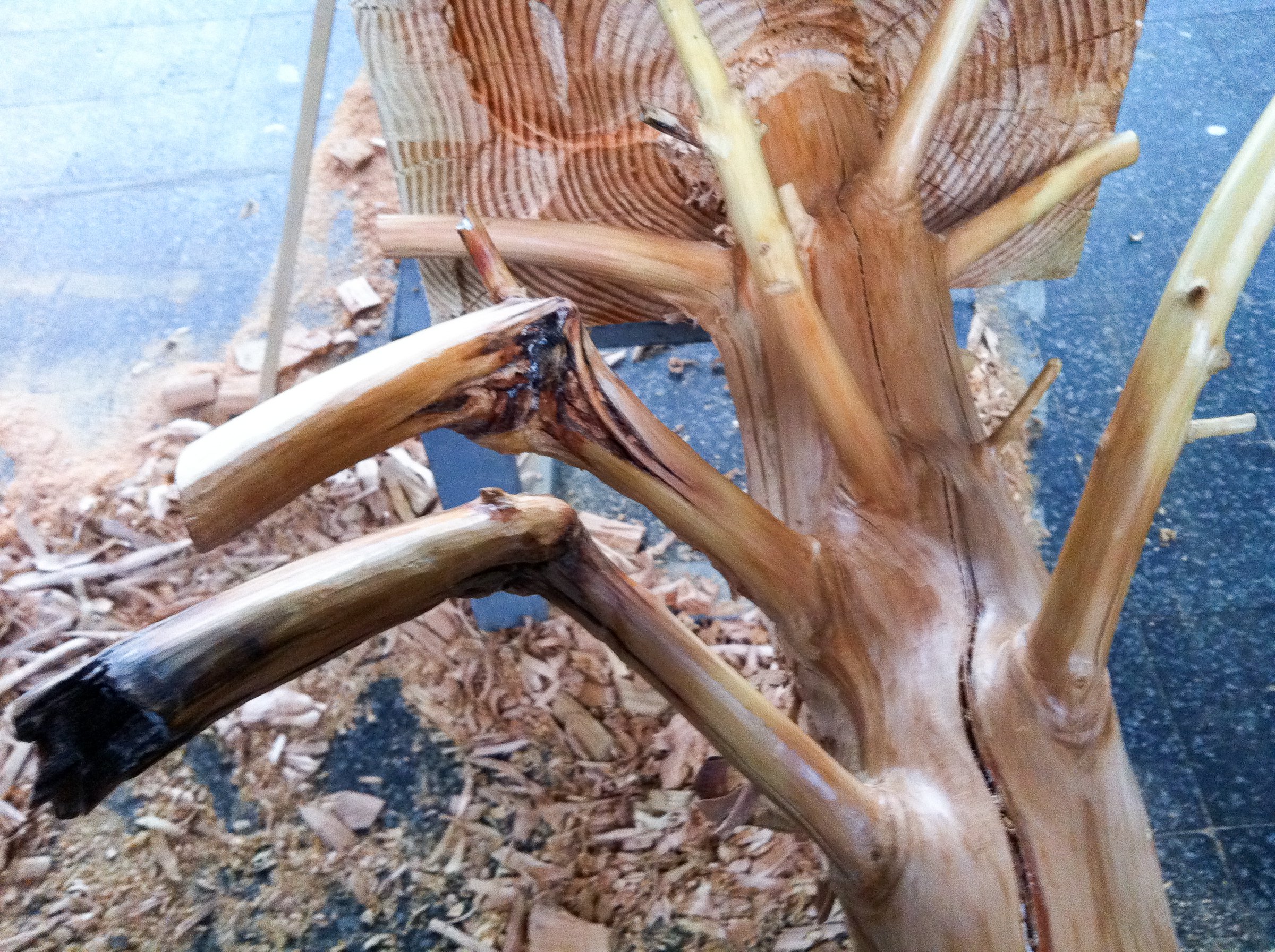 Albero di 8 metri (8-Meter Tree), 2011 (Cod. 0911) | Works | Giuseppe ...