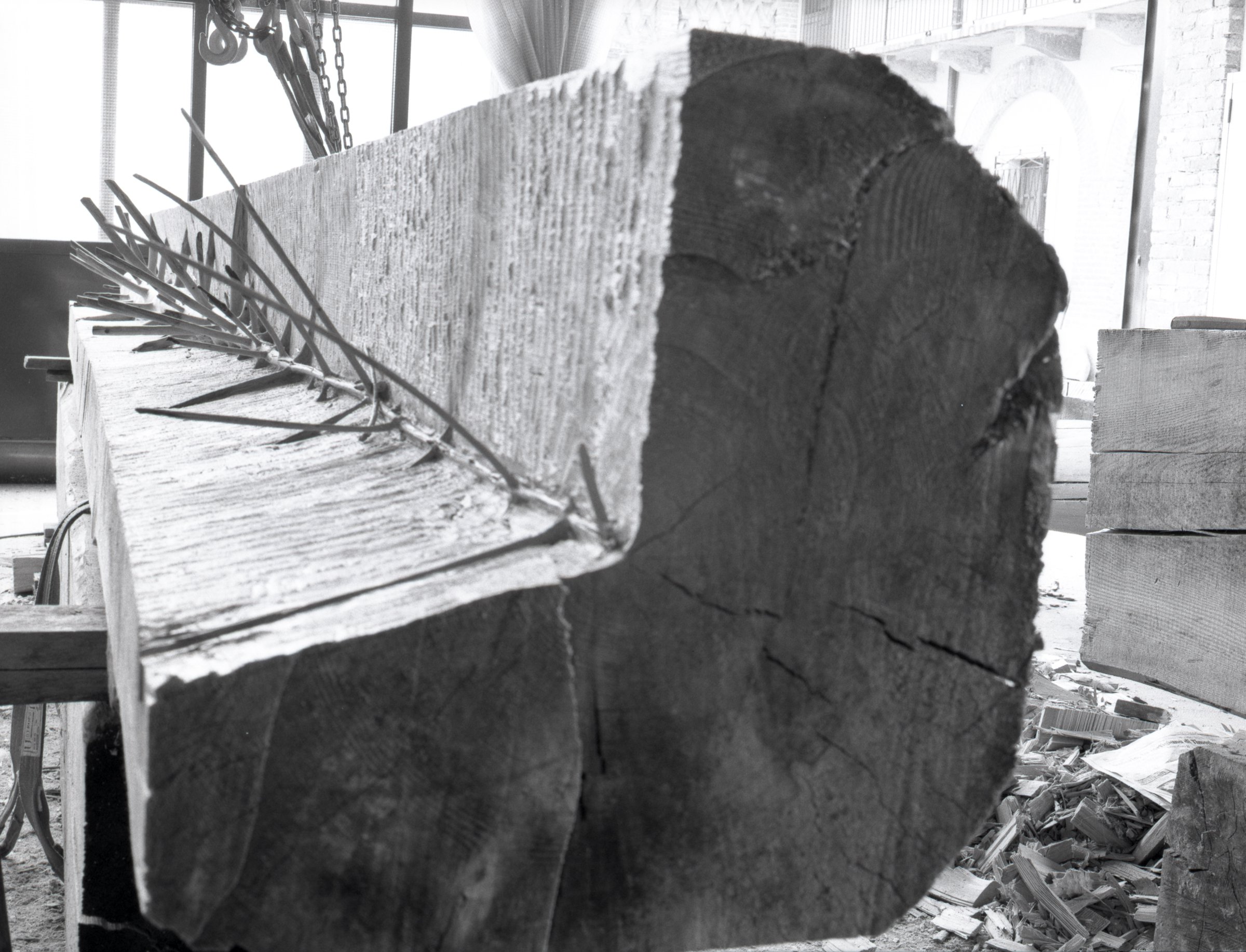 Albero fiume di 12 metri (12-Meter River Tree), 1987 (Cod. 0198 ...