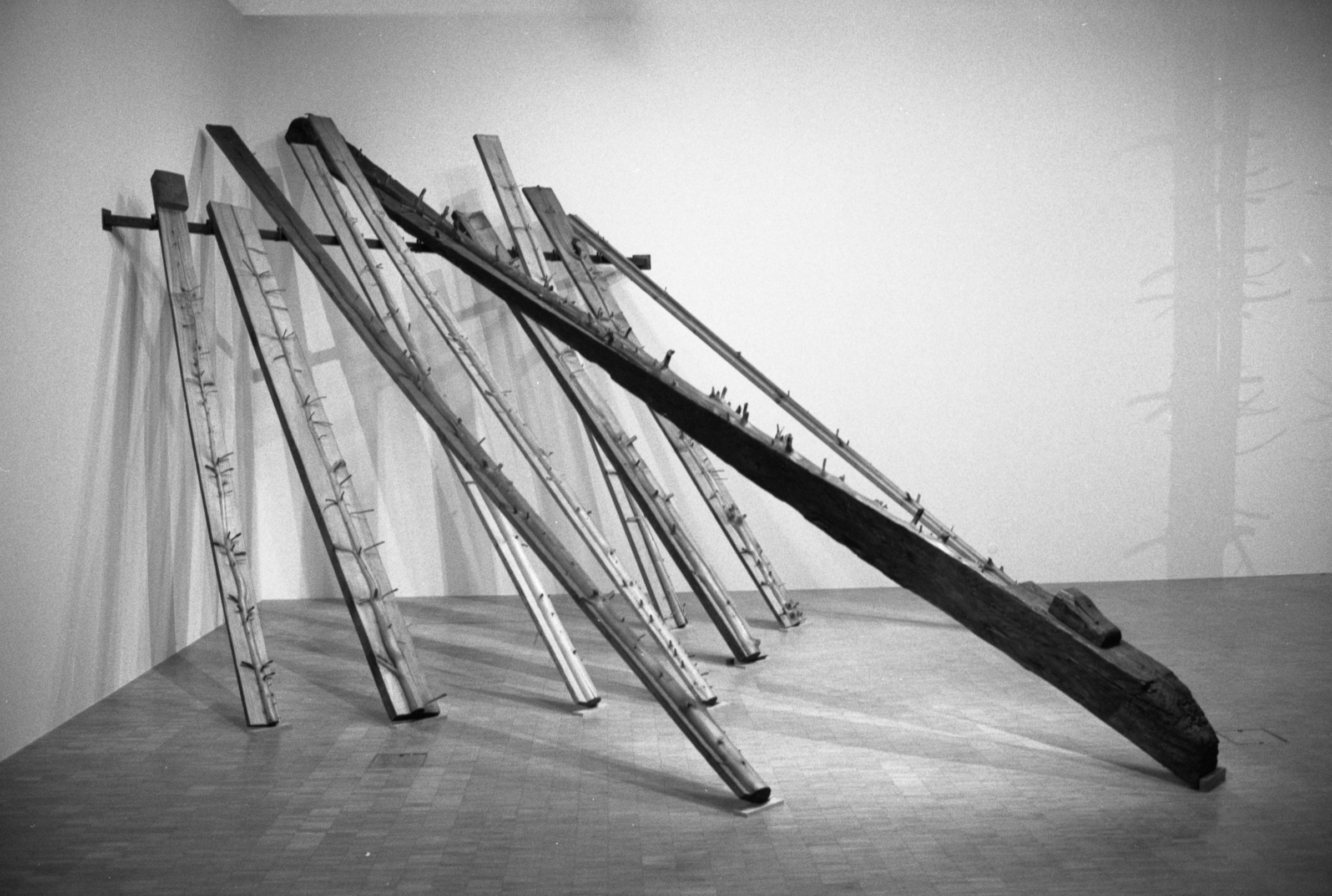 Albero di 5,50 metri (5,50-Meter Tree), 1973 (Cod. 1182) | Works ...