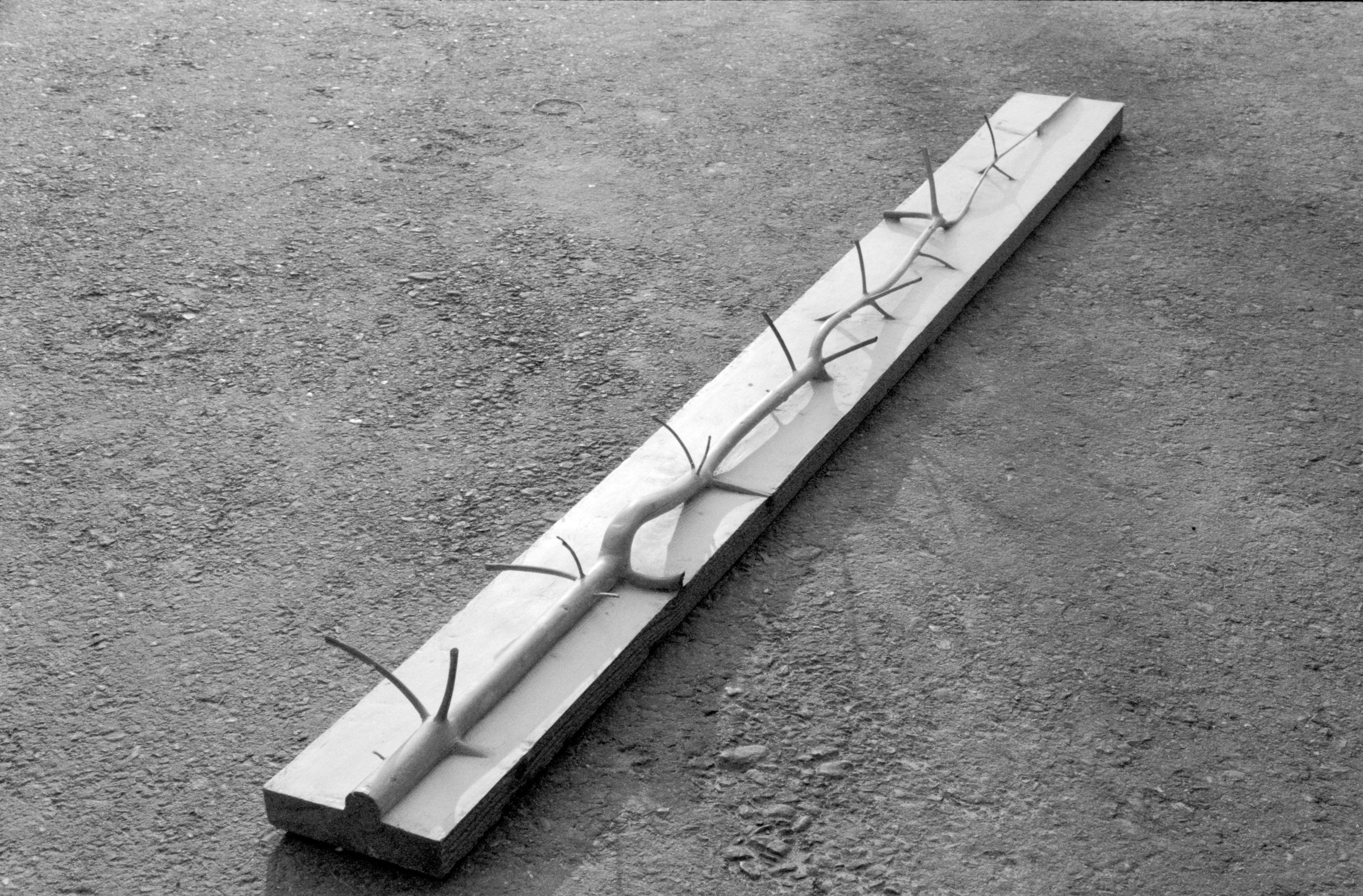 Albero di 2,30 metri (2.30-Meter Tree), 1976 (Cod. 0298) | Works ...