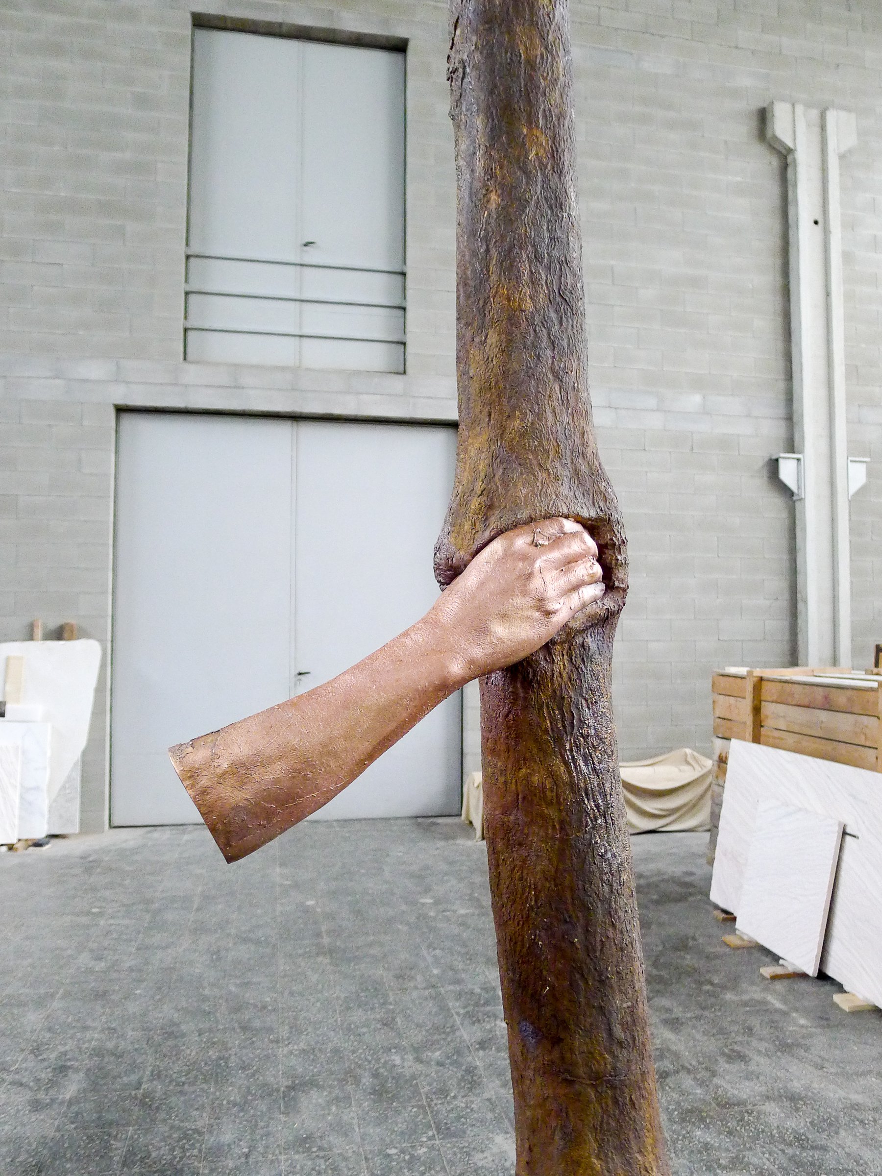 Trattenere 6 anni di crescita (Continuerà a crescere tranne che in quel ...