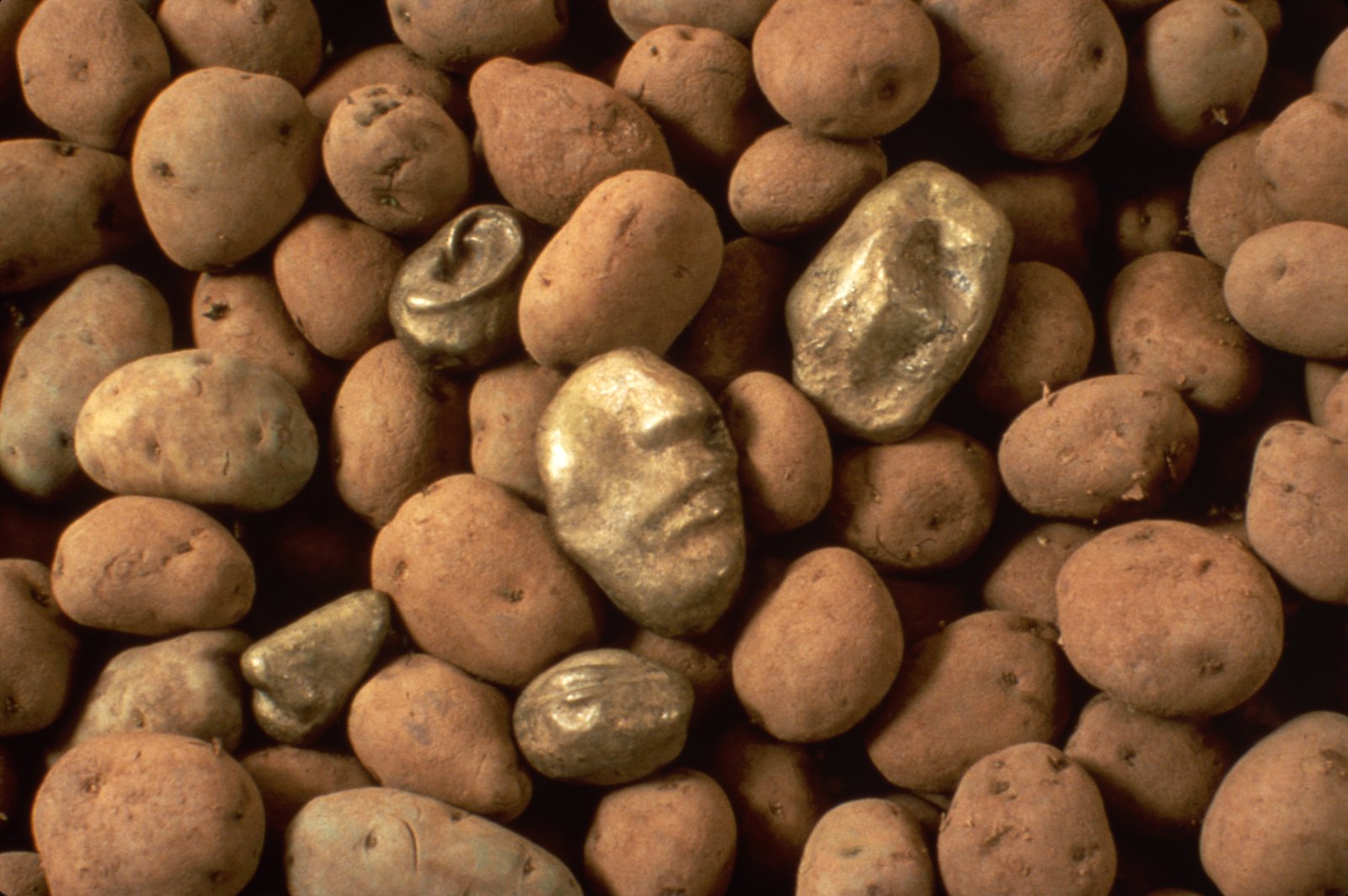 Patate (Potatoes), 1977 (Cod. 2118) | Works | Giuseppe Penone