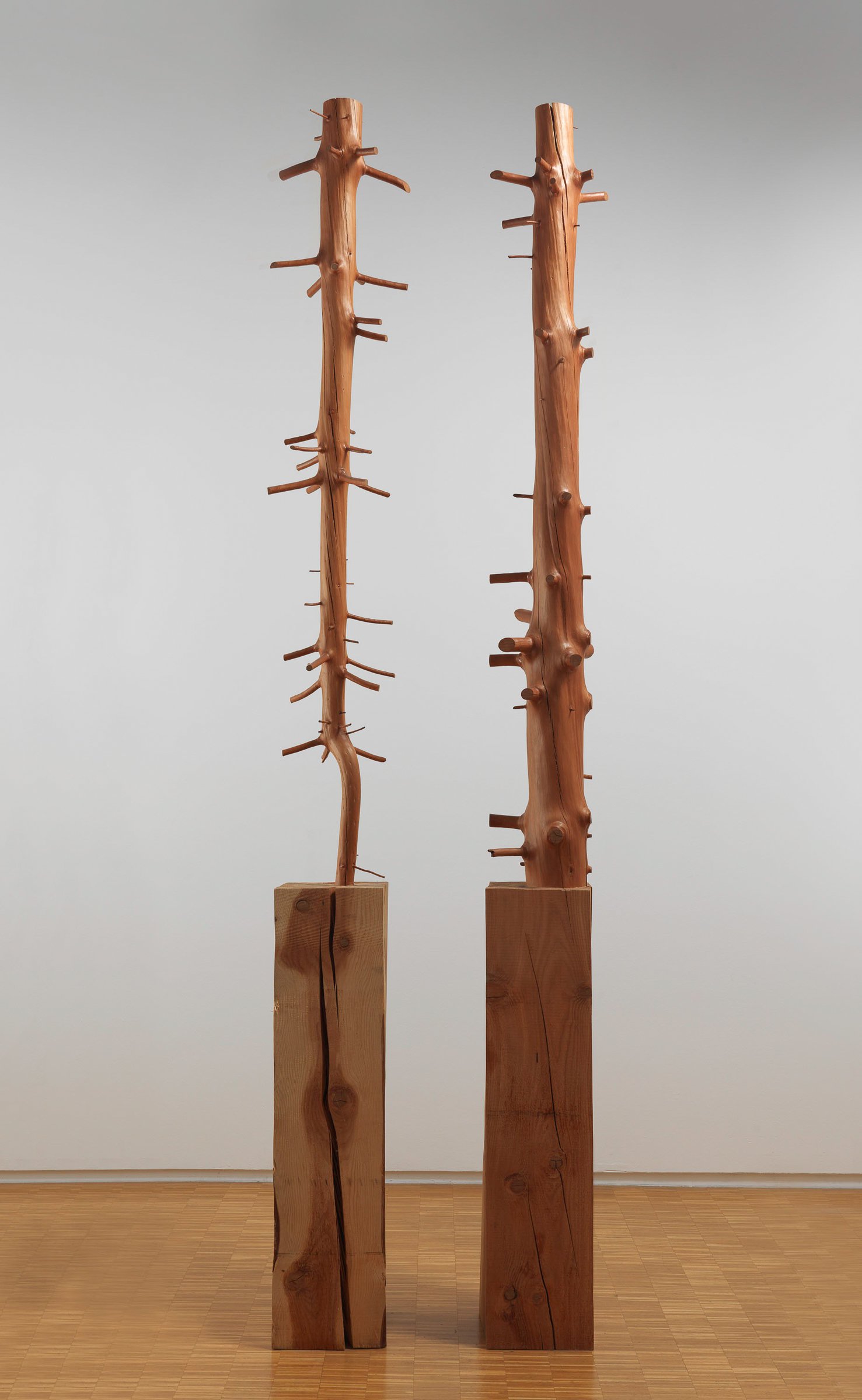 Albero di 7 metri (7-Meter Tree), 1999 (Cod. 0189) | Works | Giuseppe ...
