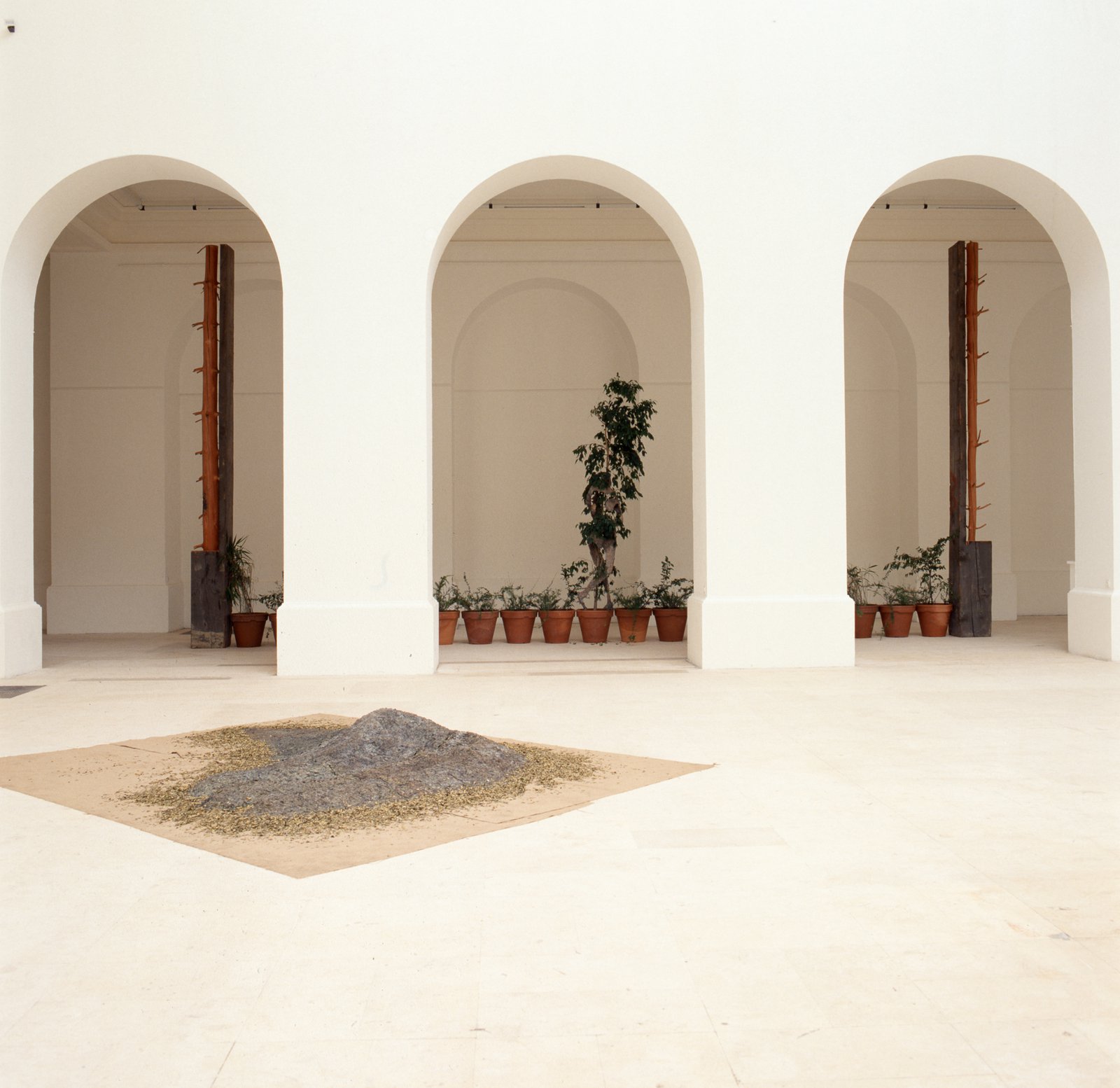 Soffio di foglie (Breath of Leaves), 1979 (Cod. 0786) | Works ...