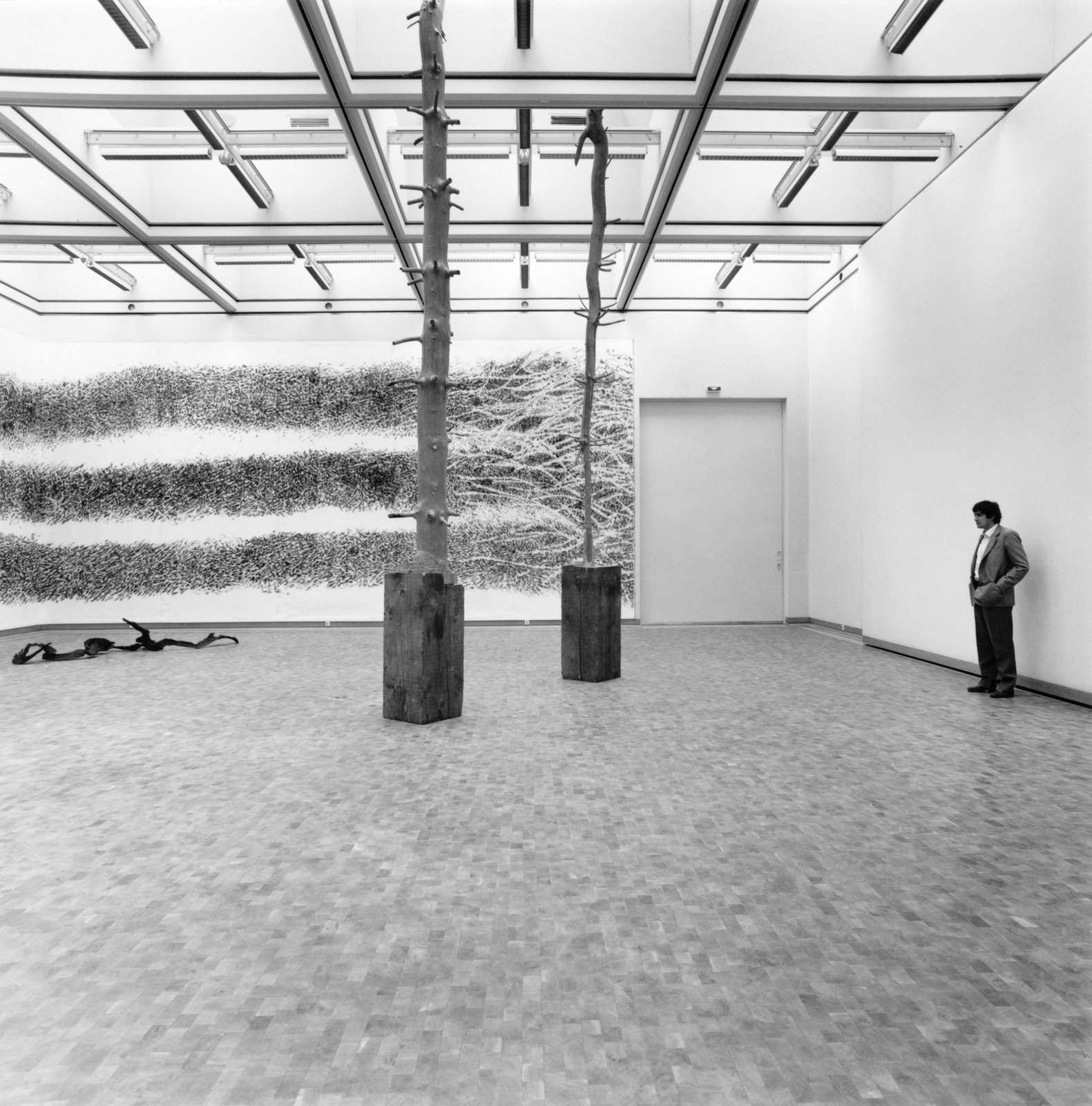 Albero di 12 metri (12-Meter Tree), 1980 (Cod. 0181) | Works | Giuseppe ...