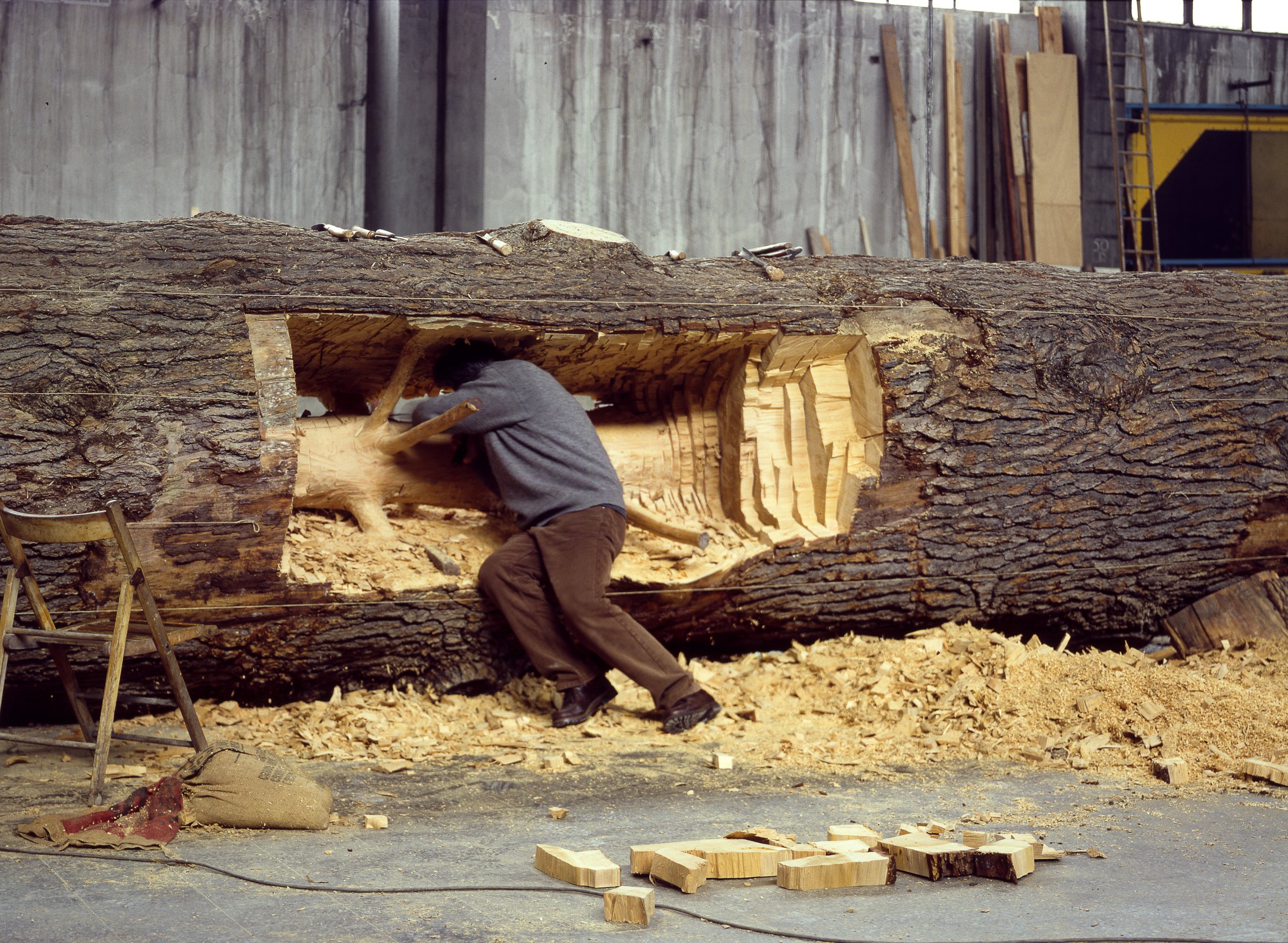 Trees | Words | Giuseppe Penone