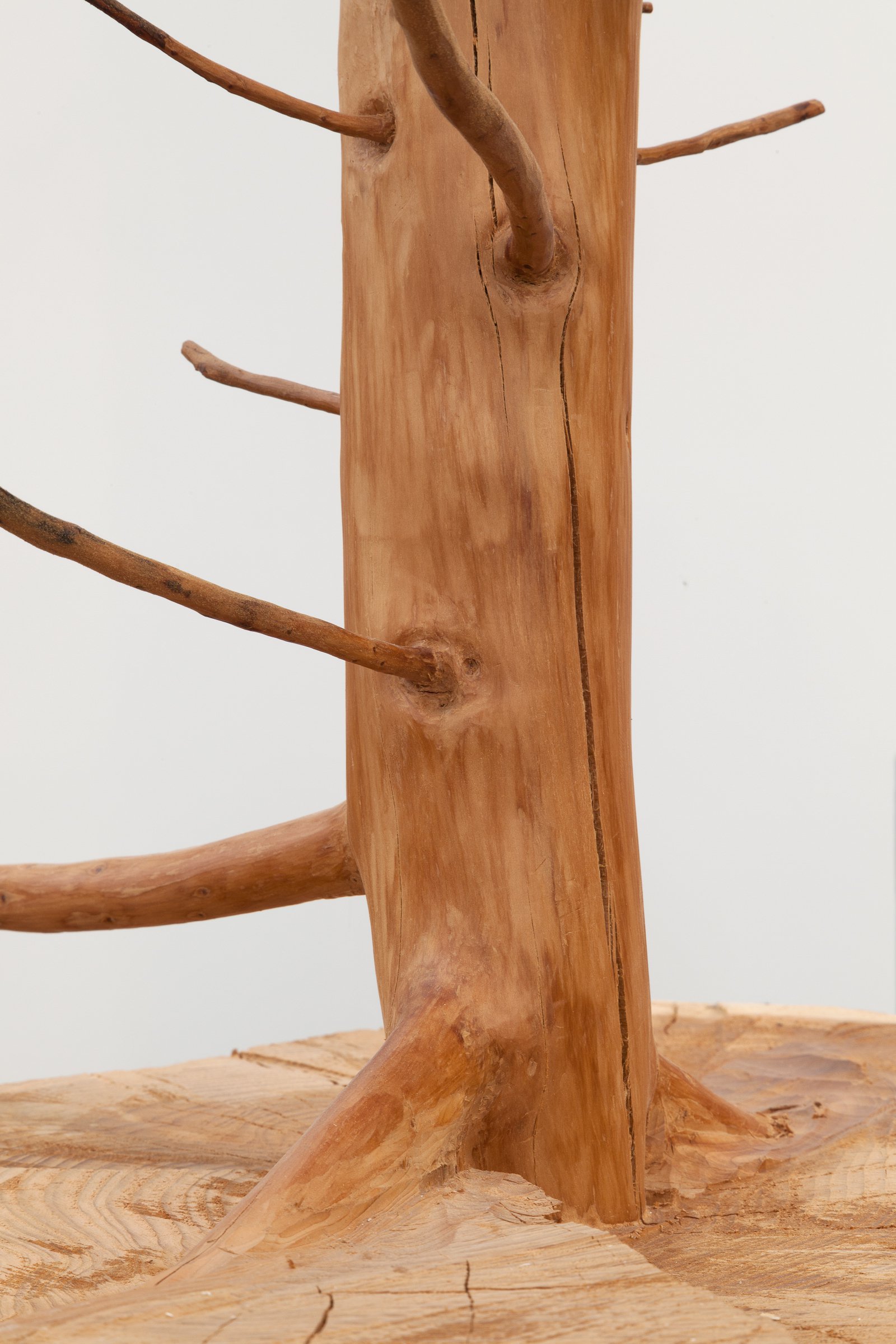 Albero di 10 metri (10-Meter Tree), 1989 (Cod. 0186) | Works | Giuseppe ...