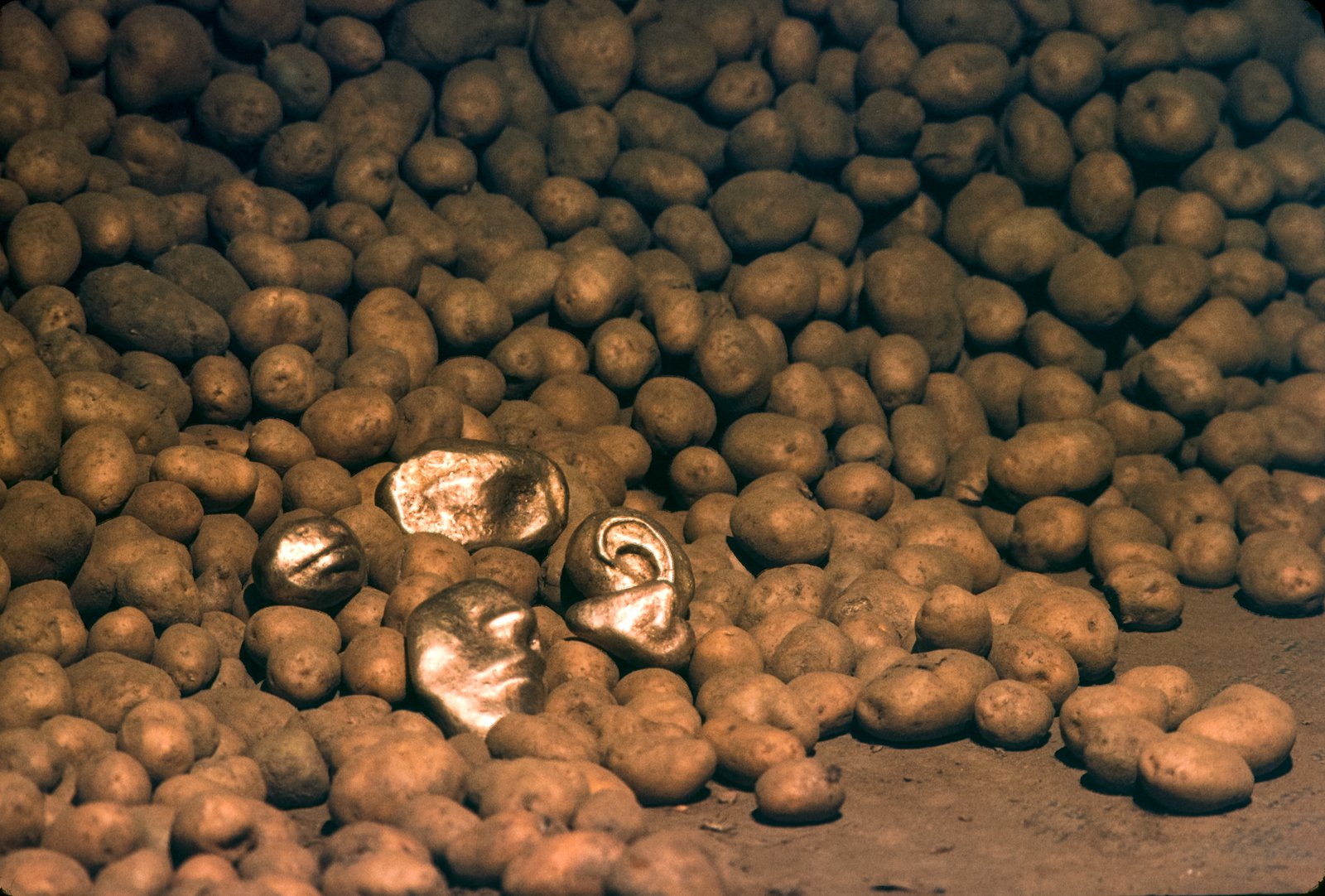 Patate (Potatoes), 1977 (Cod. 2119) | Works | Giuseppe Penone