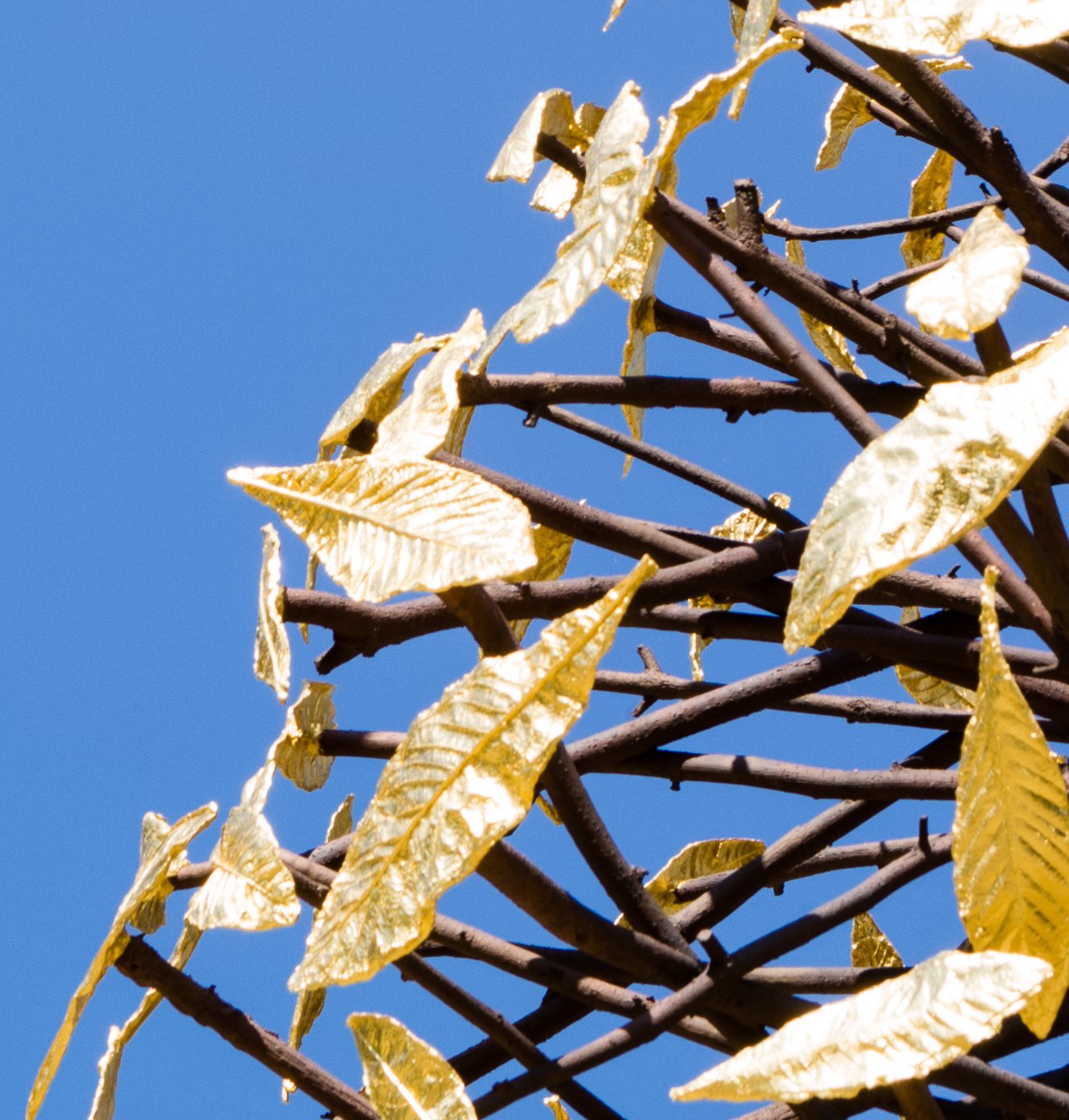 Luce e ombra (Light and Shadow), 2011 (Cod. 1405) | Works | Giuseppe Penone