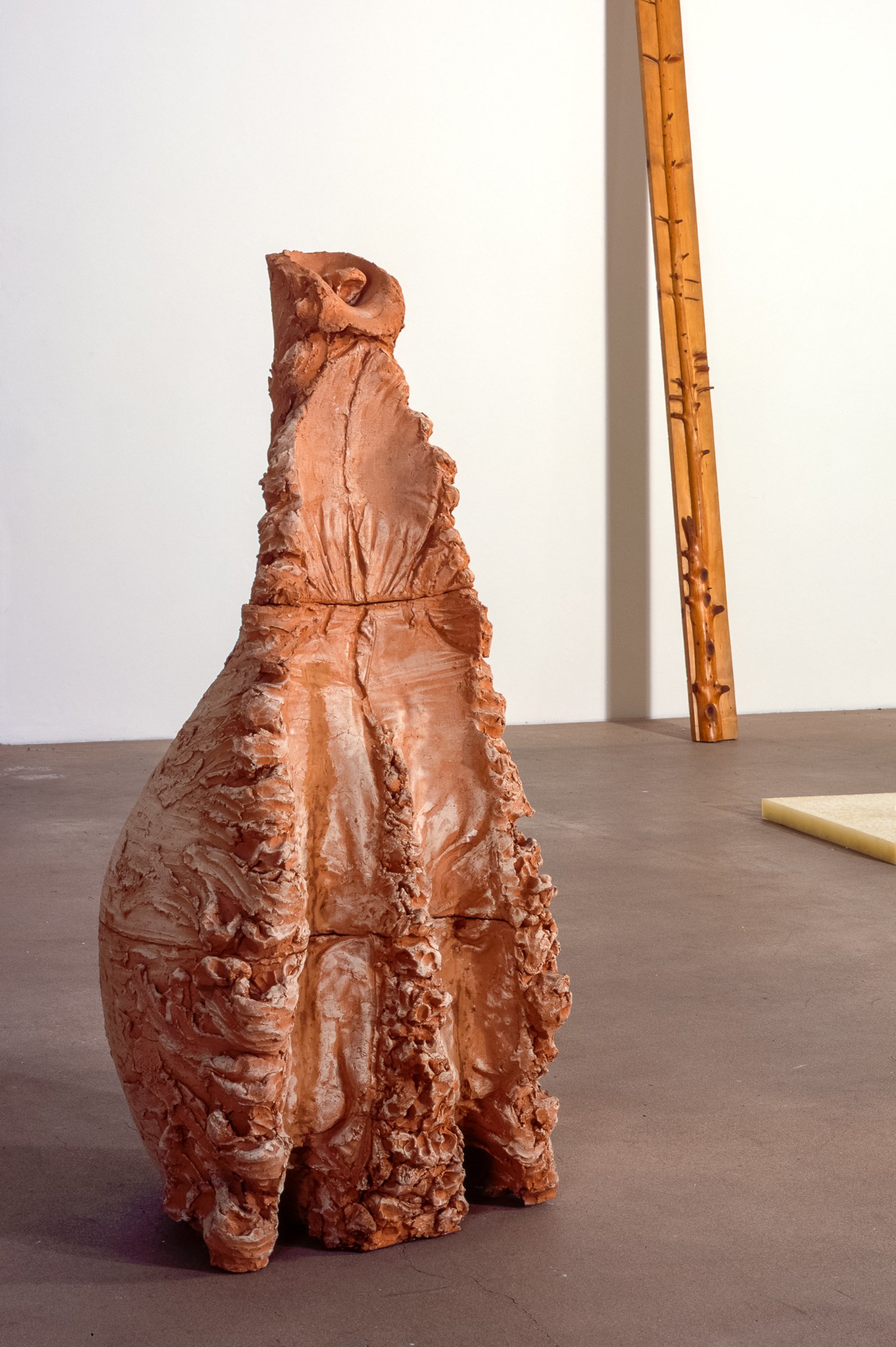 Biography | Giuseppe Penone