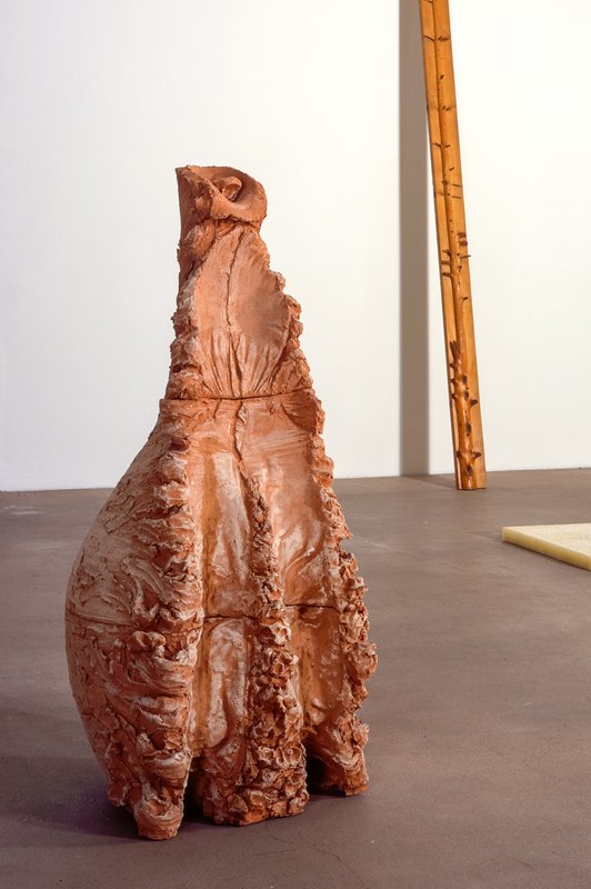 Biography | Giuseppe Penone