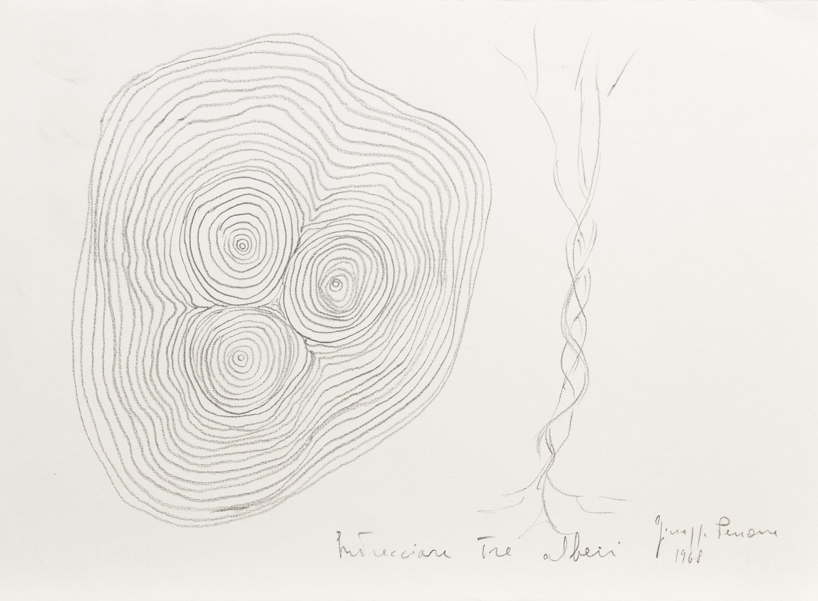 Intrecciare tre alberi (To Braid Tree Threes), 1968 (Cod. 2319 ...
