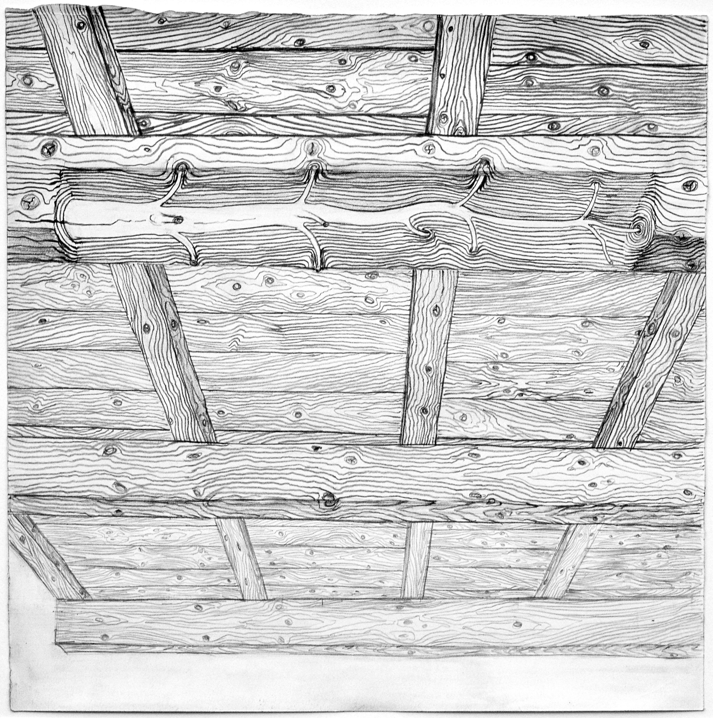 Trees | Words | Giuseppe Penone