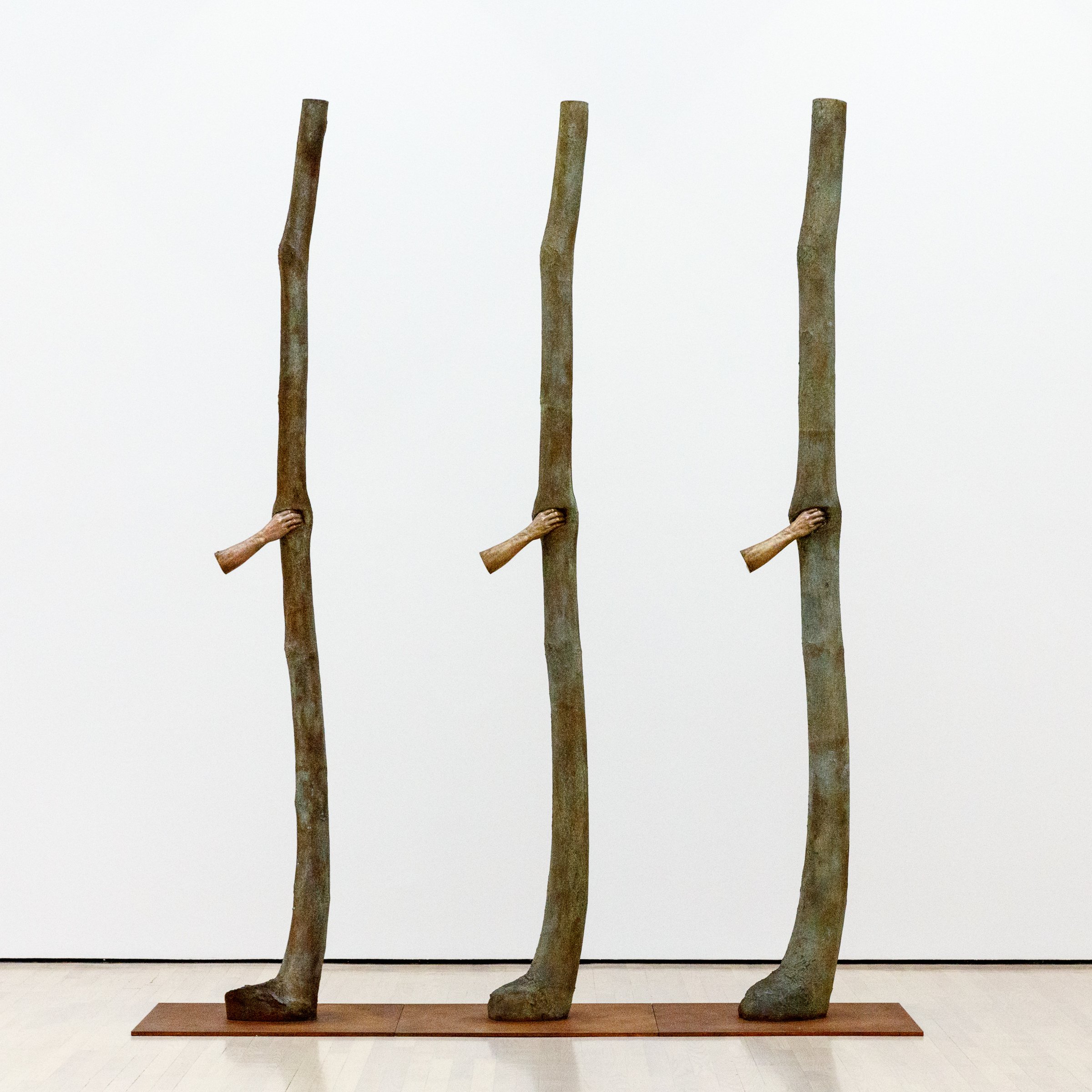 Trattenere 6, 8, 12 anni di crescita (Continuerà a crescere tranne che ...