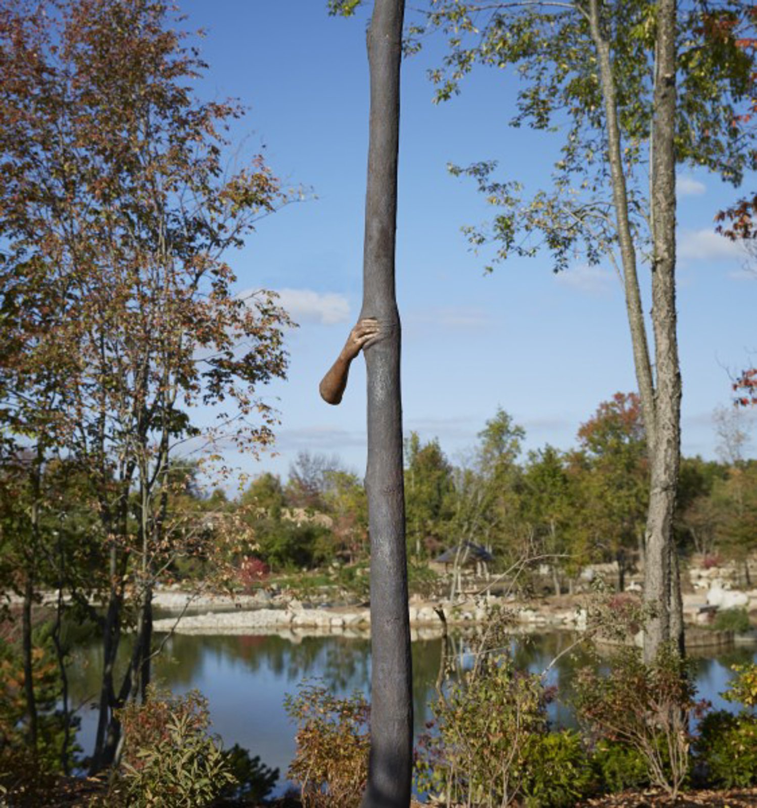 Trattenere 6 anni di crescita (Continuerà a crescere tranne che in quel ...