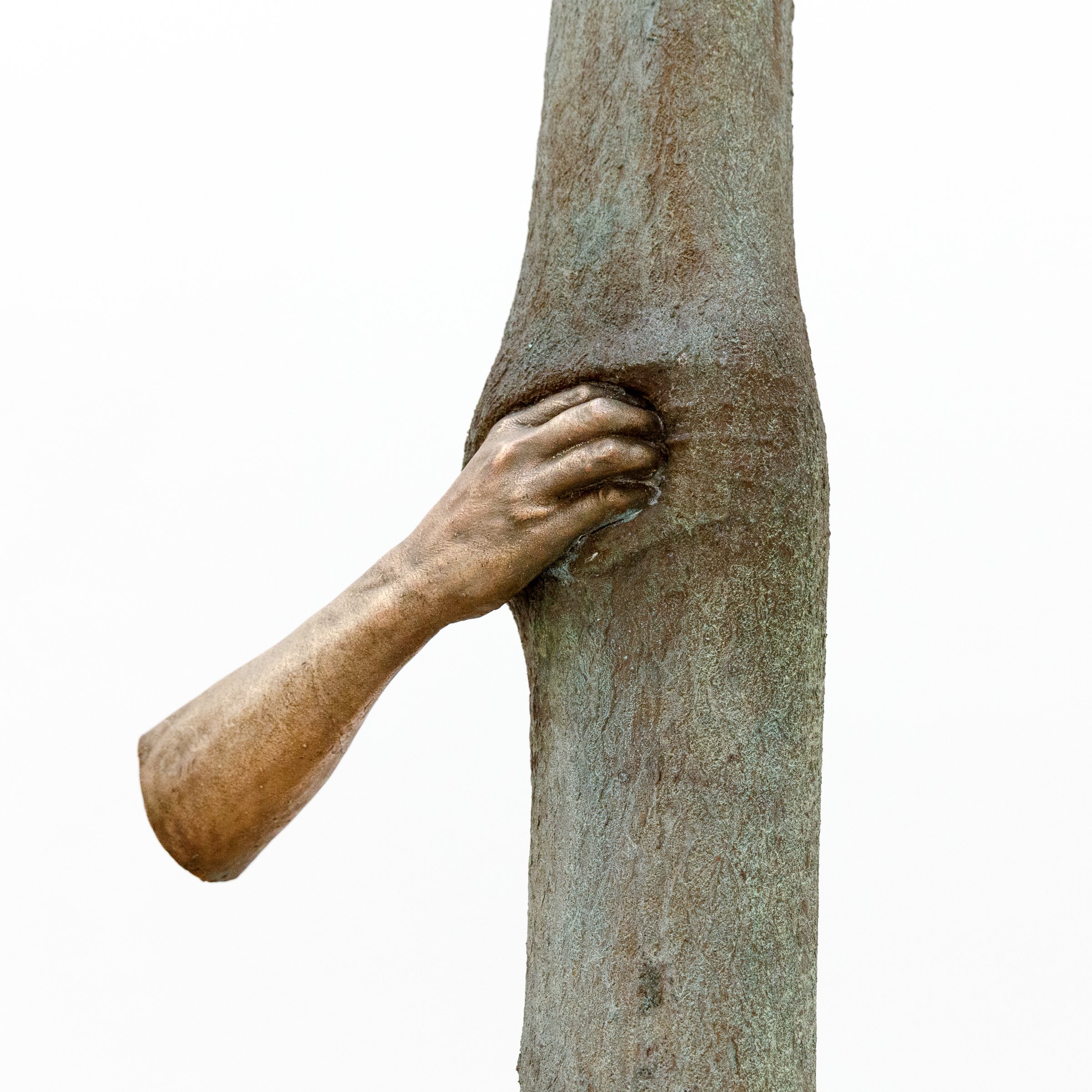 Trattenere 6, 8, 12 anni di crescita (Continuerà a crescere tranne che ...