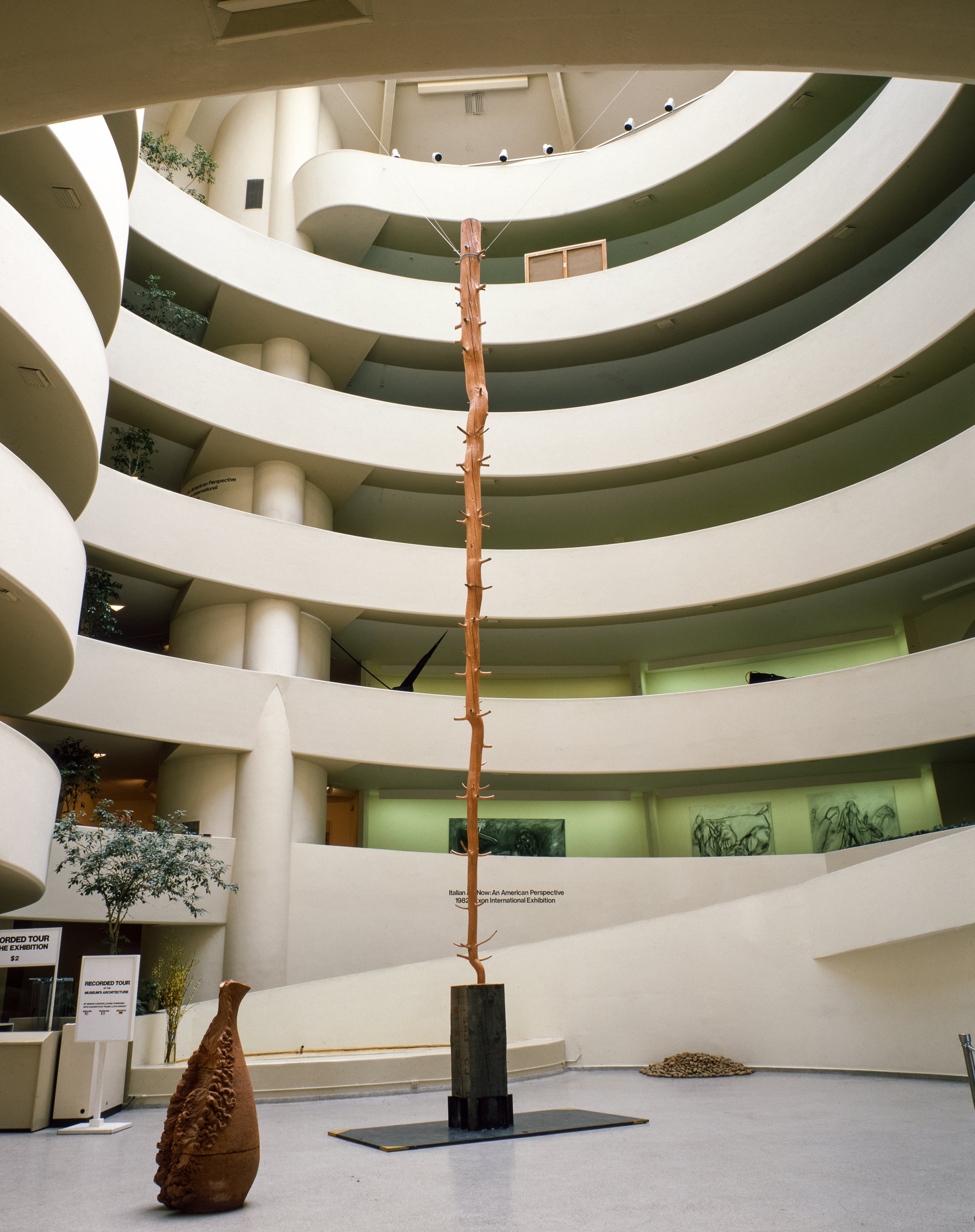 Albero di 12 metri (12-Meter Tree), 1980 (Cod. 0178) | Works | Giuseppe ...