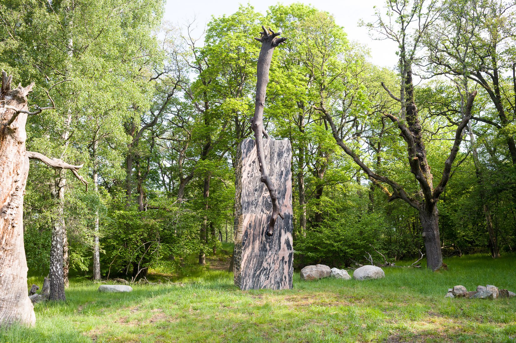 The Inner Flow of Life (The Inner Flow of Life), 2024 (Cod. 2517 ...