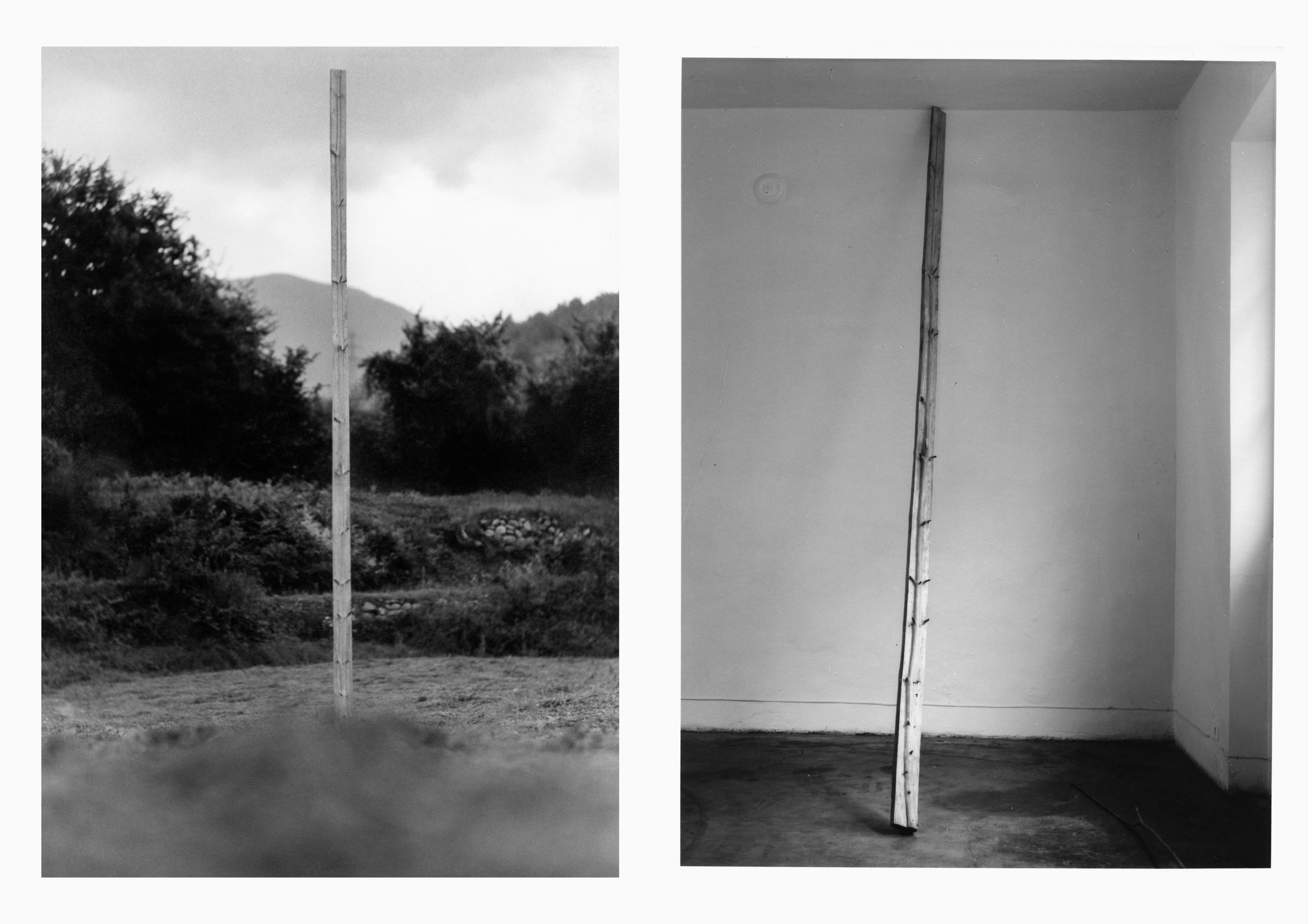 Trees | Words | Giuseppe Penone