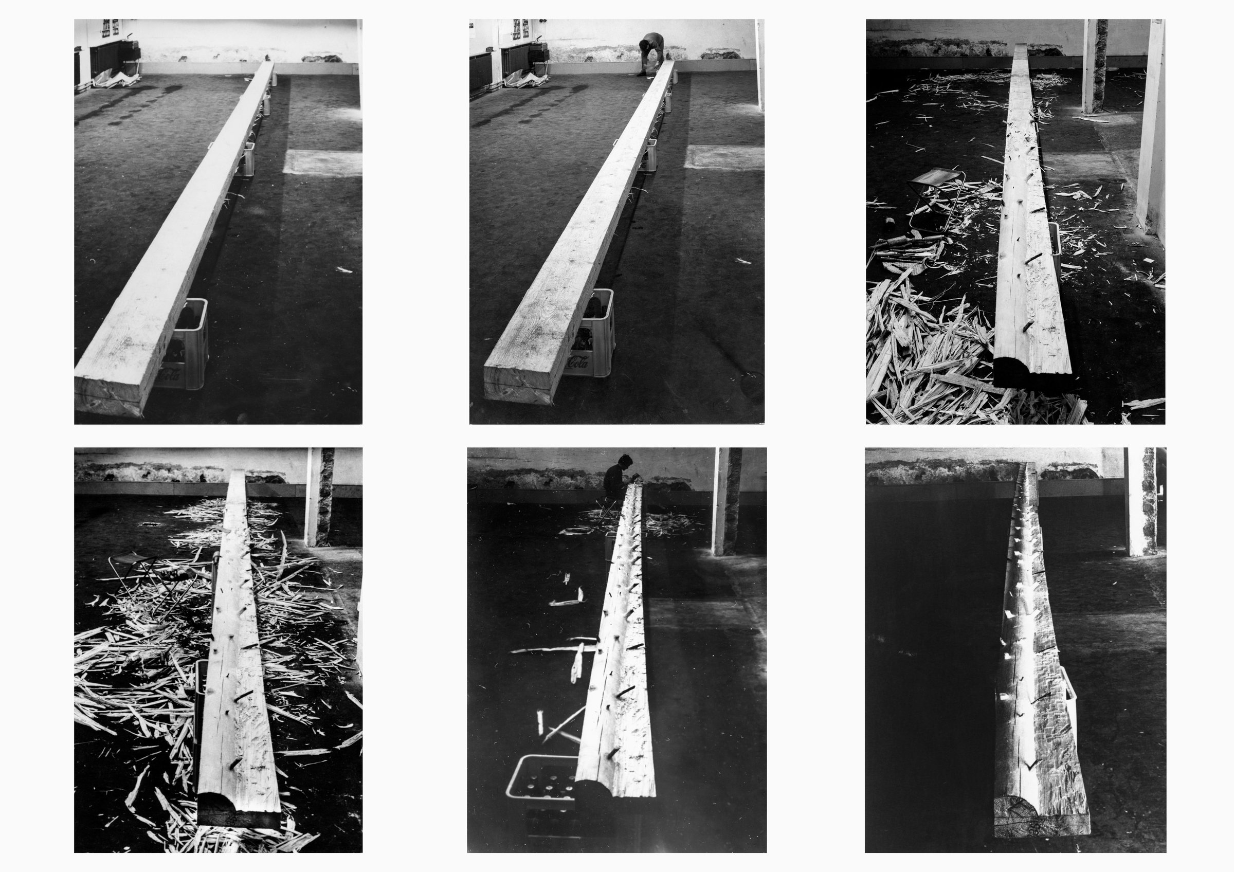 Trees | Words | Giuseppe Penone