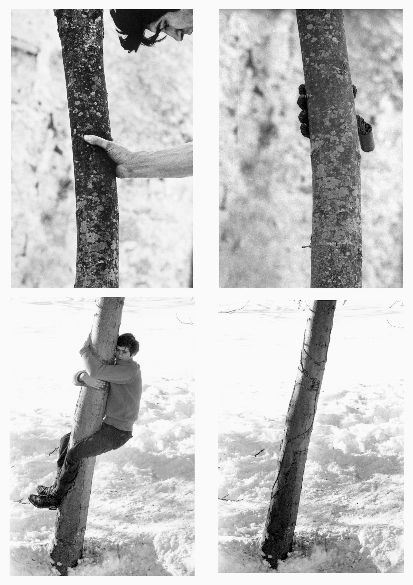 Maritime Alps | Words | Giuseppe Penone